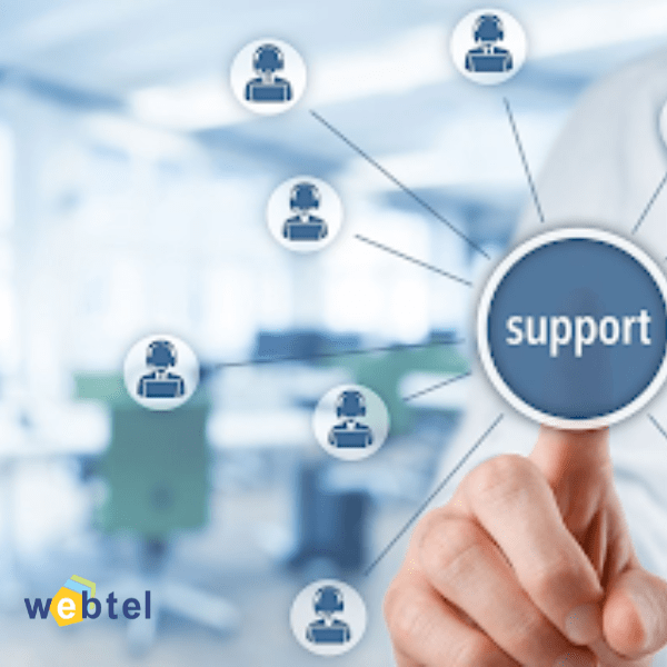 SAP Application Management Services | What is SAP AMS?